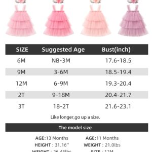 First Birthday Outfits for Baby Girl,Toddler Girls Fancy Tulle Flower Girl Tutu Dress for Wedding Guest 1st Birthday Photoshoot Blush Pink