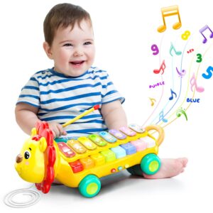 ohuhu kids musical instruments toys