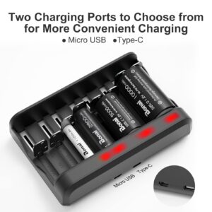 BONAI AA AAA C D SC Battery Charger with Detection Function, USB High-Speed Charging, Independent Slot, 8 Bay Household Battery Charger for Ni-MH Ni-CD Rechargeable Batteries