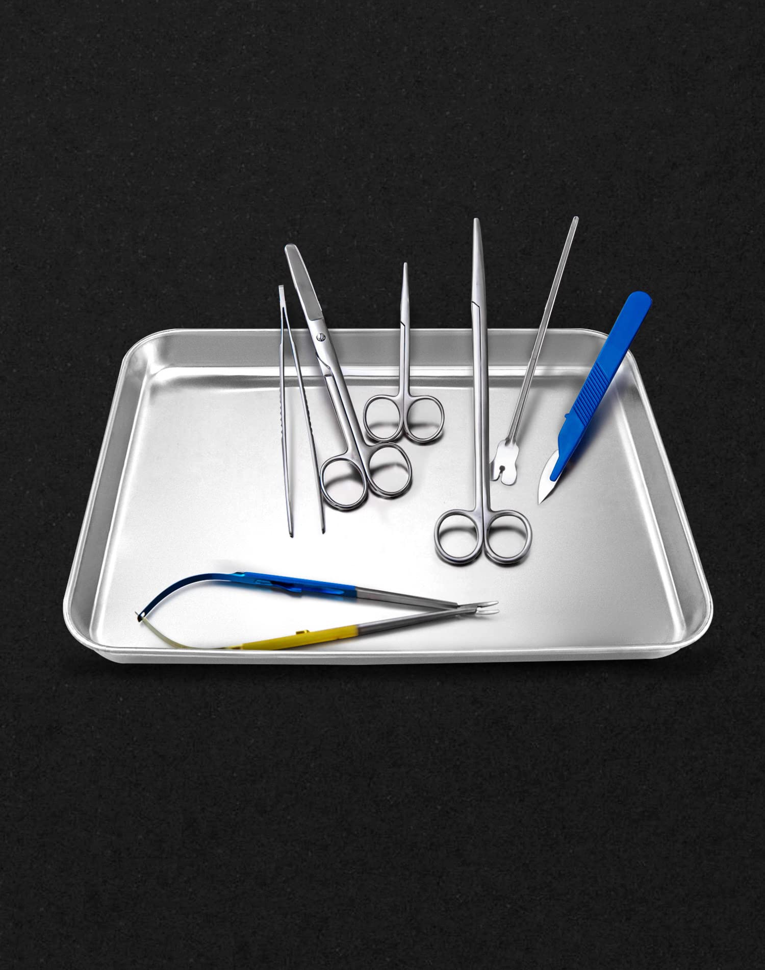 QWORK Stainless Steel Surgical Tray, for Medical Instruments, Tattoo, Surgical Supplies, 12 3/16 x 9 7/16 x 1, 4 Pack