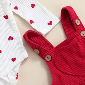 0-18M Infant Baby Girls Outfits Long Sleeve Ruffle Knit Heart Print Romper+ Suspender Skirt Overall Dress Set (Red, 3-6 Months)