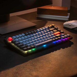 Keychron V1 Wired Custom Mechanical Keyboard Knob Version, 75% Layout QMK/VIA Programmable with Hot-swappable Keychron K Pro Red Switch Compatible with Mac Windows Linux (Frosted Black-Translucent)