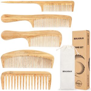 5 pcs natural handmade bamboo anti-static combs set - wide tooth, rat tail and fine tooth for long, short, thick, thin, wavy or curly hair detangling (natural)