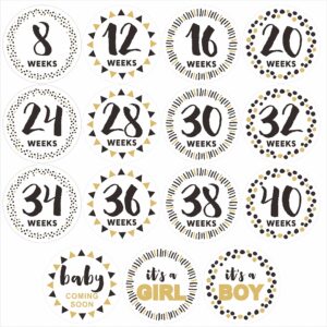 hycodest pregnancy milestone stickers photo record baby bump dynamic weekly pregnancy growth sticker, set of 15 stickers