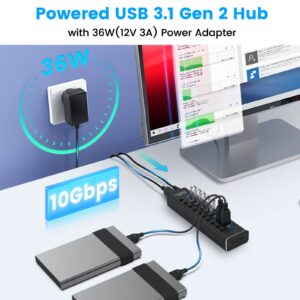 Powered USB Hub, Rosonway 10 Port USB 3.1/3.2 Gen 2 Hub 10Gbps with 36W (12V/3A) Power Adapter, Type A and Type C Cables, Aluminum USB C Hub Splitter for PC and Laptop (RSH-A10S)