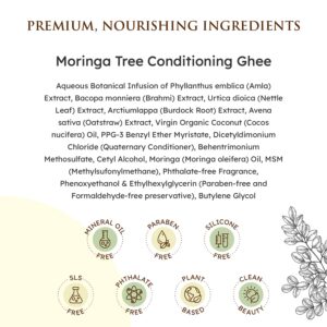 Qhemet Biologics Cleanse & Condition Duo - Includes Egyptian Wheatgrass Cleansing Tea Shampoo & Moringa Tree Conditioning Ghee to Soften and Detangle Hair - 2-Piece Haircare Set