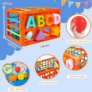 UNIH Baby Sensory Bin Toys for 1 Year Old Boy Girl, Montessori Baby Shape Sorter Toy with Textured Blocks and ABCs, Early Learning Developmental Gifts Toys, Baby Toys 6 to 12-18 Months