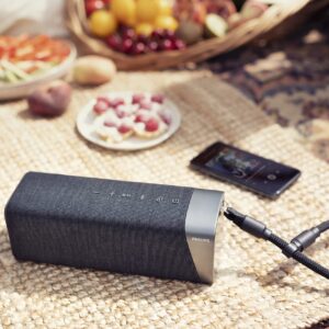 PHILIPS S5505 Wireless Bluetooth Speaker with Large Bold Sound, Up to 12 Hours Playtime, IPX7 Waterproof, Medium, TAS5505