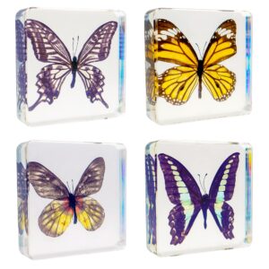 4 pcs butterfly specimen set, danaus genutia, graphium sarpedon, asian swallowtail, delias pasithoe butterfly resin collection science toys