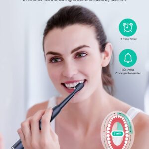 Electric Toothbrush for Adults - oraimo Rechargeable Power Toothbrush with 8 Dupont Brush Heads, Sonic Toothbrush Holder, 5 Optional Modes, 2 Minute Smart Timer, 3 Hours Fast Charge for 60 Days, ET1C