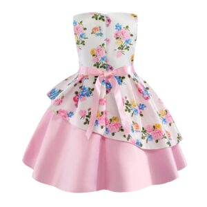 AIMJCHLD Flower Girls Dresses Toddler Baby Birthday Halloween Day Easter Pageant Tea Floral Dress Size 2T 3T (Pink,100)