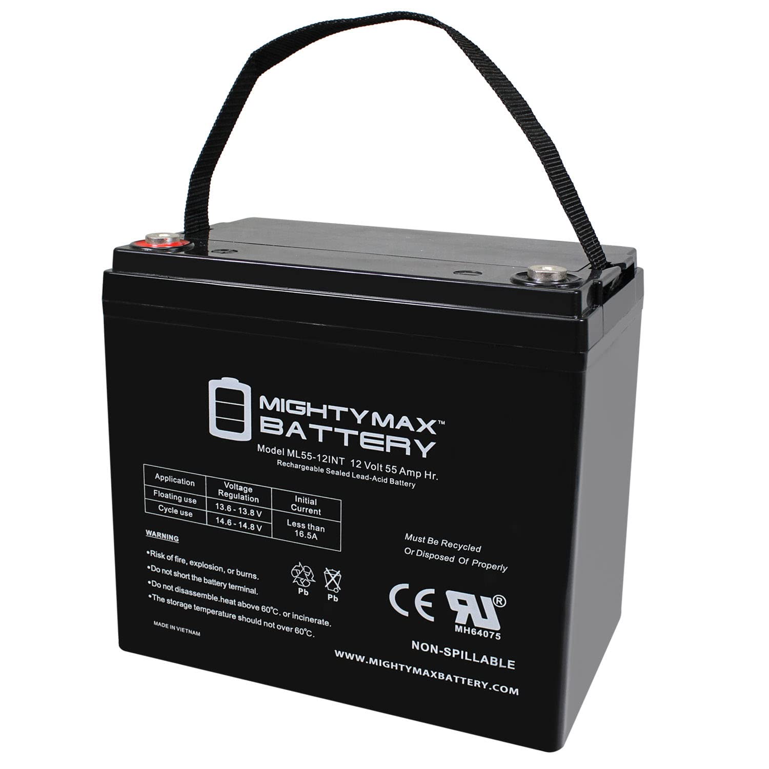 Mighty Max Battery 12V 55AH INT Replacement Battery for Vision 6FM55SGT-DX