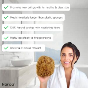 Naroa Exfoliating Natural Sponge for Bathing | Bath Sea Sponge for Healthy Skin | Unbleached Shower Body Scrubber Puff | Eco Friendly Plastic Free Sponge (Exfoliate - Medium)