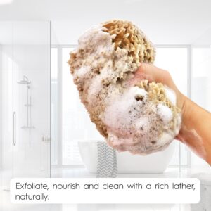 Naroa Exfoliating Natural Sponge for Bathing | Bath Sea Sponge for Healthy Skin | Unbleached Shower Body Scrubber Puff | Eco Friendly Plastic Free Sponge (Exfoliate - Medium)