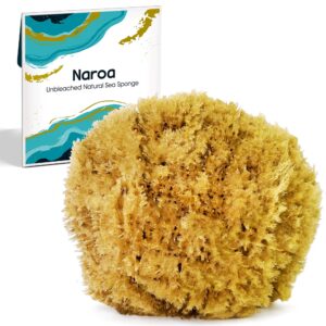 naroa exfoliating natural sponge for bathing | bath sea sponge for healthy skin | unbleached shower body scrubber puff | eco friendly plastic free sponge (exfoliate - medium)