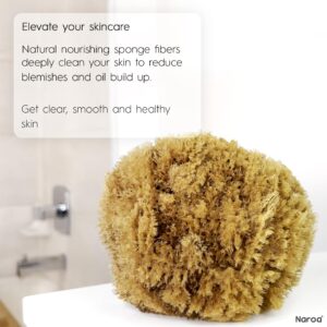 Naroa Exfoliating Natural Sponge for Bathing | Bath Sea Sponge for Healthy Skin | Unbleached Shower Body Scrubber Puff | Eco Friendly Plastic Free Sponge (Exfoliate - Medium)