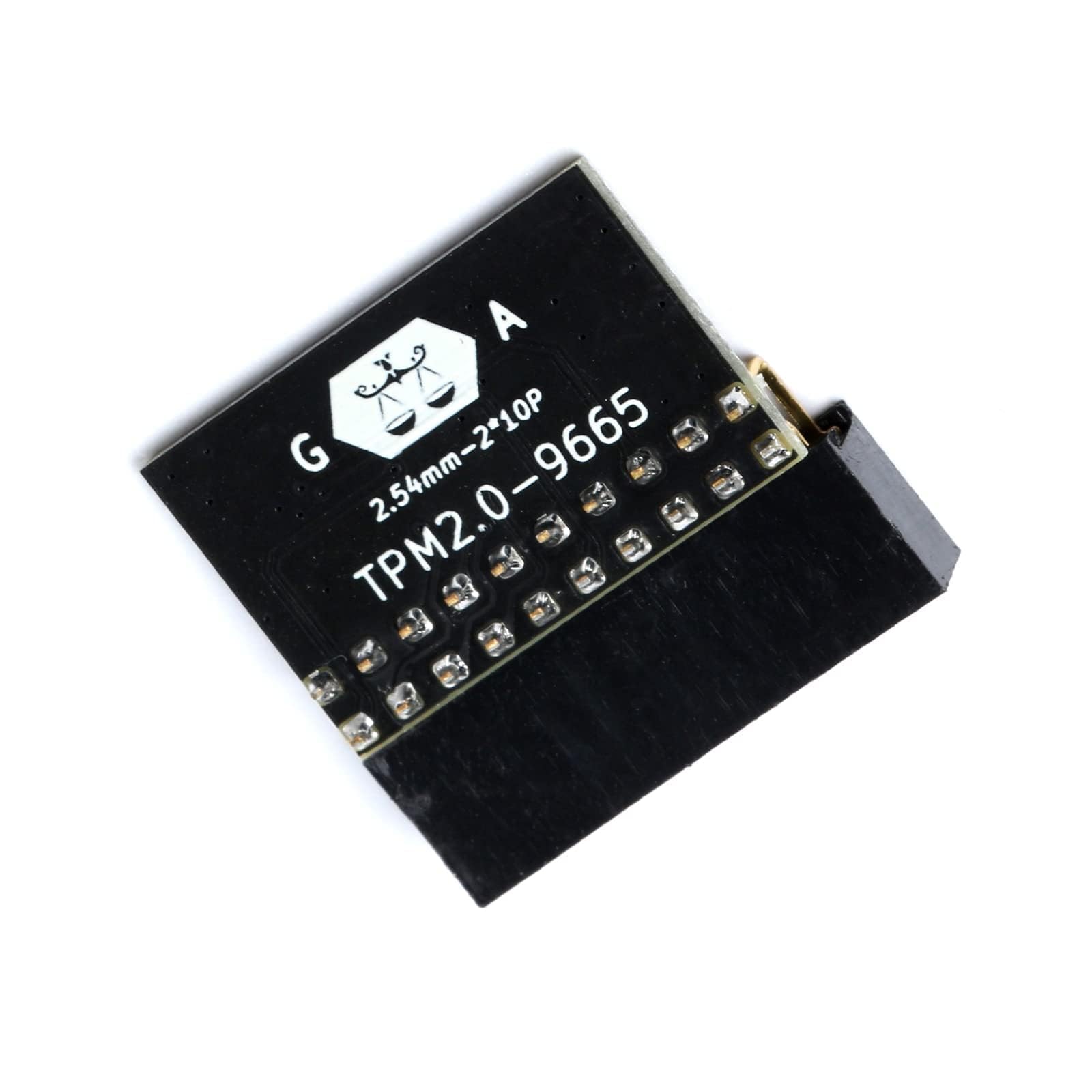 Replacement TPM2.0 Encryption Security Module, 20-1 Pin 2 * 10P TPM GA 20-1 Pin Remote Card Compatible with WIN11 2.0 System, for Gigabyte Platform Protection Module