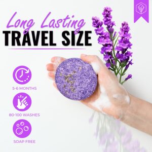 GREEN JOURNEY Lavender Shampoo and Conditioner Bar Set Sulfate-Free, Travel Size, Biodegradable Packaging (2)