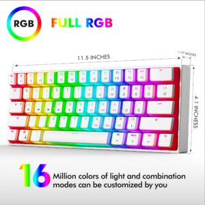 Ractous RTK61P 60% Mechanical Gaming Keyboard RGB Backlit PBT Pudding keycaps 61key Ultra-Compact Wired Keyboard Programmable for PC/Mac Gamers,Hot-Swappable Gateron Optical Blue Switch (White)