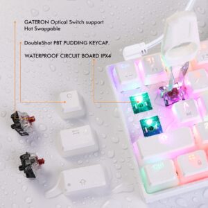 Ractous RTK61P 60% Mechanical Gaming Keyboard RGB Backlit PBT Pudding keycaps 61key Ultra-Compact Wired Keyboard Programmable for PC/Mac Gamers,Hot-Swappable Gateron Optical Blue Switch (White)