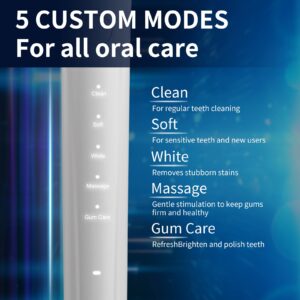 LANDWIND Sonic Electric Toothbrush, Rechargeable Travel Electric Toothbrush Lasts 2 Months, 2 Brush Heads and 5 Cleaning Modes, 2-Min Timer and IPX7 Waterproof Electric Toothbrush for Adults