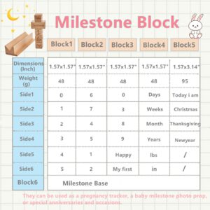 Lanttoe Baby Milestone Blocks Set of 6,with Newborn Photography Props Base,Baby Monthly Milestone Blocks，Baby Photo Props for Photoshoots,Natural Wooden Photo Props Set,Baby Gifts for Baby Shower