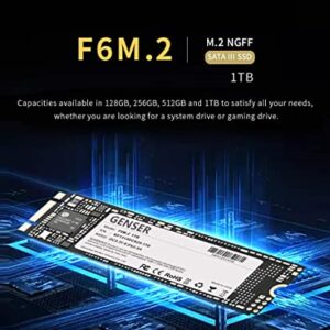 GENSER M2 SATA SSD 1TB Solid State Drive 1000GB M.2 NGFF 2280 Internal Hard Disk HDD for Desktop Laptop (B-1TB)