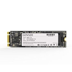 genser m2 sata ssd 1tb solid state drive 1000gb m.2 ngff 2280 internal hard disk hdd for desktop laptop (b-1tb)