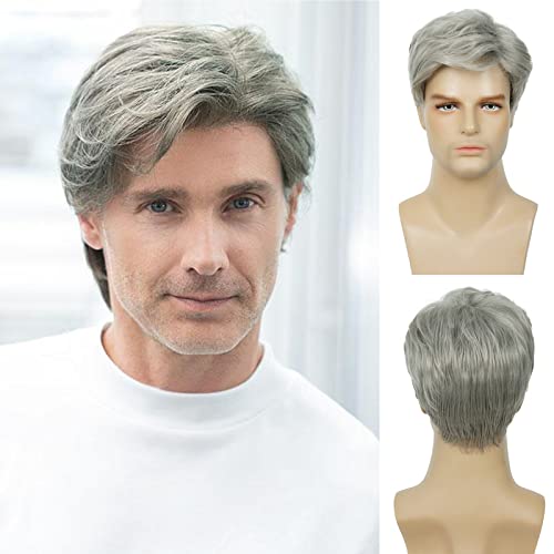 Baruisi Men Wigs Short Silver Gray Wig Synthetic Heat Resistant Natural Halloween Cosplay Hair Wig