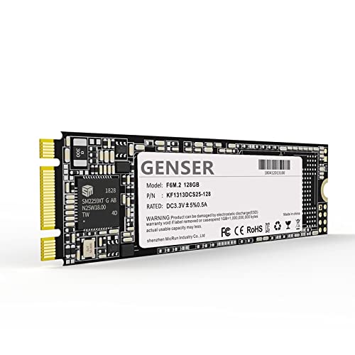 GENSER M2 SATA SSD 1TB Solid State Drive 1000GB M.2 NGFF 2280 Internal Hard Disk HDD for Desktop Laptop (B-1TB)