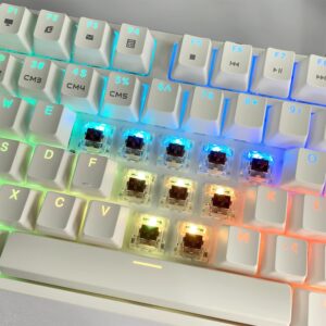 Gateron G Brown Pro Switches Pre-lubed 3pin RGB SMD Tactile for Gaming Mechanical Keyboard (36 Pcs,Brown)