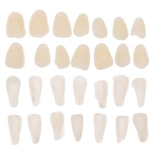 fomiyes temporary crown, 200pcs temporary cap, dental acrylic resin temporary crown veneers material temporary repair kit replacements for missing broken fake teeth beige