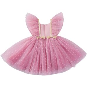 Toddler Tulle Dress Baby Party Flower Dresses Little Girls Birthday Lace Tutu Ruffled Polka Dots Dress Wedding Prom