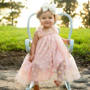 Toddler Baby Girl Tutu Dress Sleeveless Daisy Floral Layered Tulle Dress Kids Princess Birthday Party Beach Dresses (Pink Daisy, 6-12 Months)