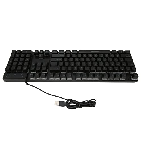 WinmetEuro USB Gaming Keyboard, One Piece Design Gaming Keyboard RGB Lighting Effect 2 Colors Injection Thickened Low Base for Office for Home for Gaming(H600 Black Characters-Single Keyboard)