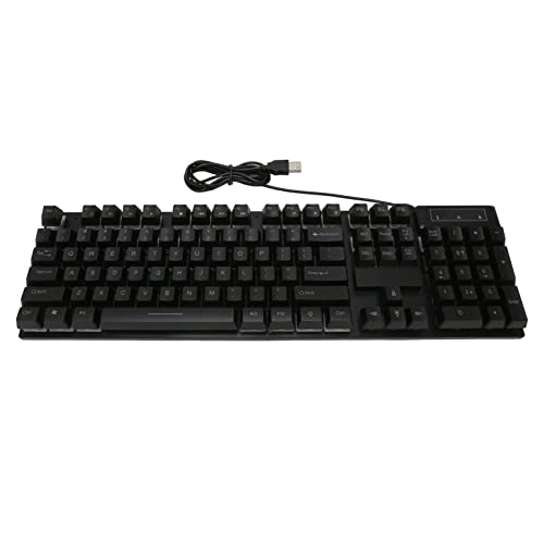 WinmetEuro USB Gaming Keyboard, One Piece Design Gaming Keyboard RGB Lighting Effect 2 Colors Injection Thickened Low Base for Office for Home for Gaming(H600 Black Characters-Single Keyboard)