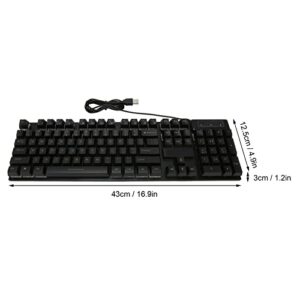 WinmetEuro USB Gaming Keyboard, One Piece Design Gaming Keyboard RGB Lighting Effect 2 Colors Injection Thickened Low Base for Office for Home for Gaming(H600 Black Characters-Single Keyboard)