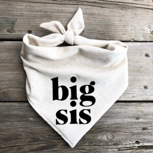 Big Sis Dog Bandana Big Sister Pregnancy Announcement Matching Baby Announcement Baby Shower Attire Gift (Large)