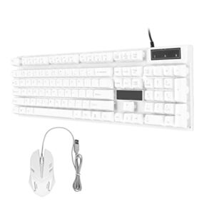 ciciglow Gaming Keyboard and Mouse Combo Set, 104 Keys Wired Gaming Keyboard and Mouse Pack Multicolor LED Backlight, Compatible with for OS X, Win 10/8/7, Win XP, Win Vista(White)