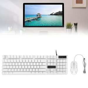 ciciglow Gaming Keyboard and Mouse Combo Set, 104 Keys Wired Gaming Keyboard and Mouse Pack Multicolor LED Backlight, Compatible with for OS X, Win 10/8/7, Win XP, Win Vista(White)