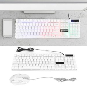 ciciglow Gaming Keyboard and Mouse Combo Set, 104 Keys Wired Gaming Keyboard and Mouse Pack Multicolor LED Backlight, Compatible with for OS X, Win 10/8/7, Win XP, Win Vista(White)