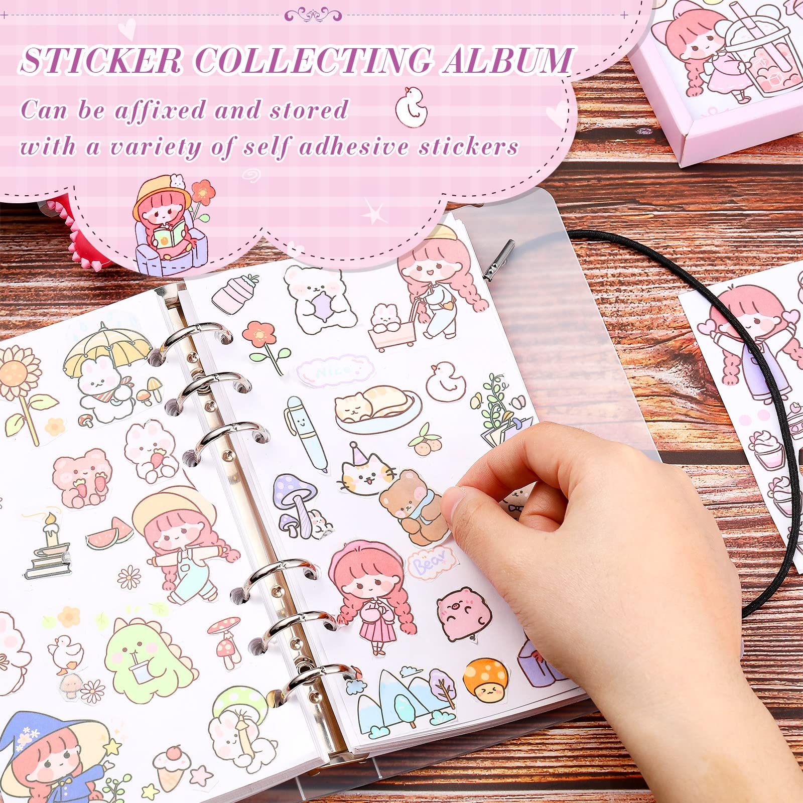 Spakon Sticker Collecting Album Sheets Reusable Sticker Book Sticker Collection Accessories for Collecting Back to School gifts, A6/A5(1 Piece,A6)