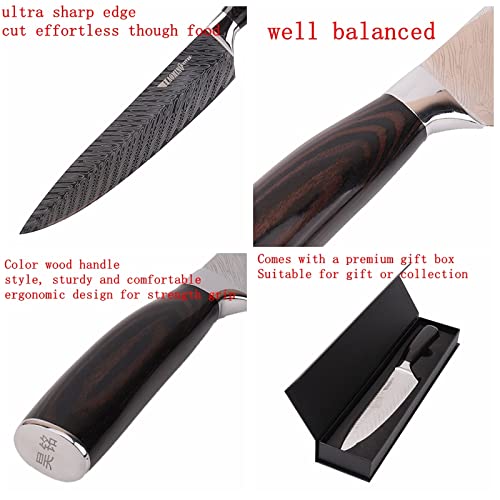 HaoMing Kitchen Knife 8 Inch Damascus Pattern Chef's Knife High Carbon Stainless Steel Sharp Paring Knife with Ergonomic Color Wood Handle