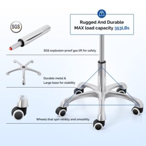 JMU Dental Assistant Chair, Rolling Stool with Wheels and Backrest Heavy Duty Stool Height Adjustable for Dental Lab Salon Home, White