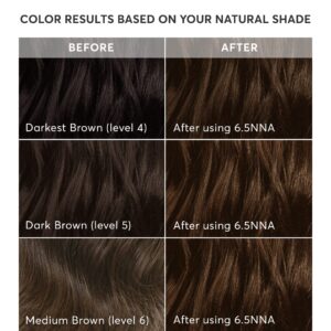 Madison Reed Radiant Hair Color Kit, Soft Medium Neutral Brown for 100% Coverage of Resistant Gray Hair, Ammonia-Free, 6.5NNA Sondrio Brown, Permanent Hair Dye, Pack of 1