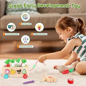 Bravmate Toddlers Montessori Educational Toys for Kids Age 2 3 4 Years Old, Shape Sorting Toys for Boys Girls 2-4, Wood Preschool Learning Fine Motor Skills Game