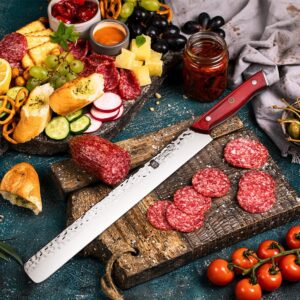 VG10 Slicing Knife, 12 inch Japanese Carving Knife Ultra Sharp Forged High Carbon Stainless Steel Long Brisket Knife For Meat Cutting BBQ Full Tang Kitchen Knives Ergonomic Handle Gift Box