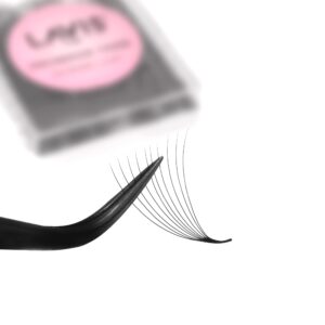 LAVISLASH 500 Promade Fans Eyelash Extension | Handmade Loose Volume Lash | Mutiple Options 3D-8D/10D/12D/14D/16D Fans | 0.03/0.05/0.07mm Thickness | C/CC/D Curl | 8-16mm Length(10D-0.03-D-12mm)