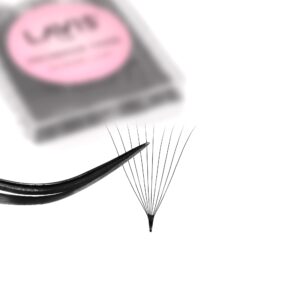 LAVISLASH 500 Promade Fans Eyelash Extension | Handmade Loose Volume Lash | Mutiple Options 3D-8D/10D/12D/14D/16D Fans | 0.03/0.05/0.07mm Thickness | C/CC/D Curl | 8-16mm Length(10D-0.03-D-12mm)