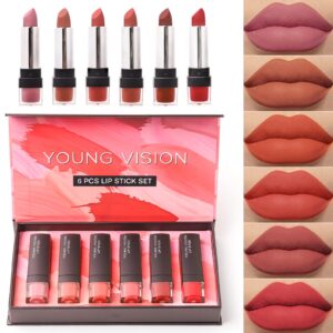 young vision classic colors lipstick, lip stick bundles gift box set, matte nude finish, retractable, 6 packs